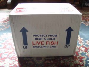 How Are Live Fish Shipped? - Pet News and Views